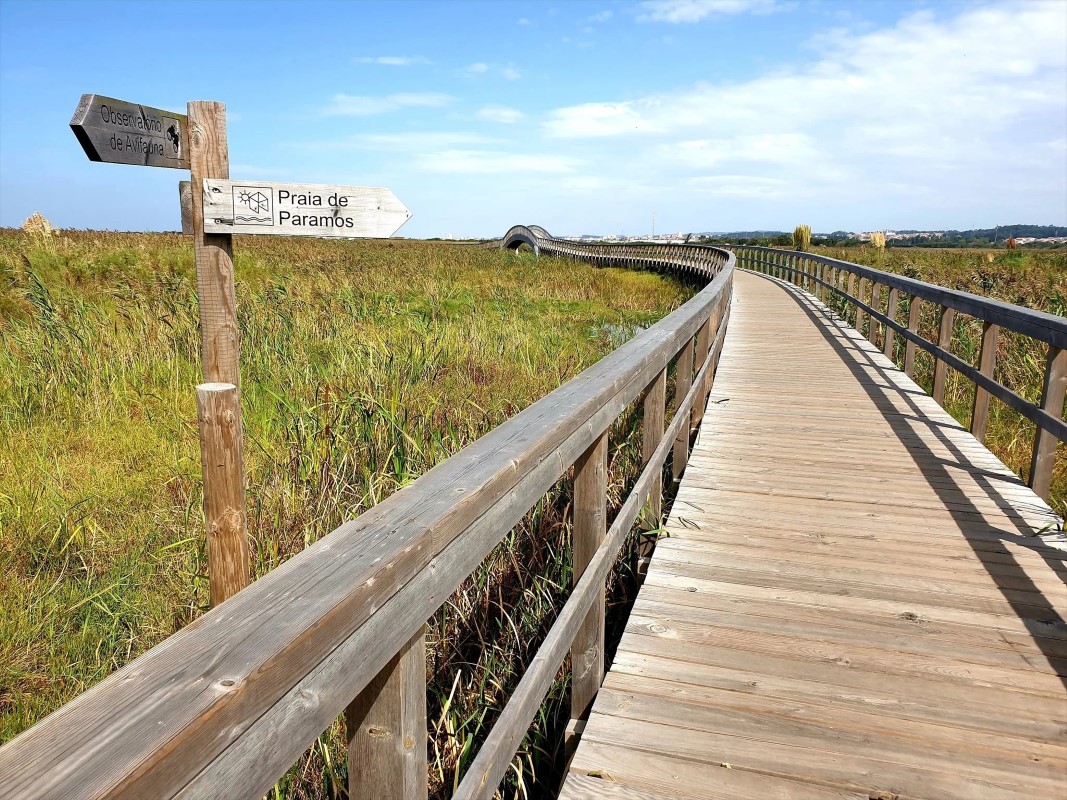 Walk Around Central Portugal Independent Rail Holiday